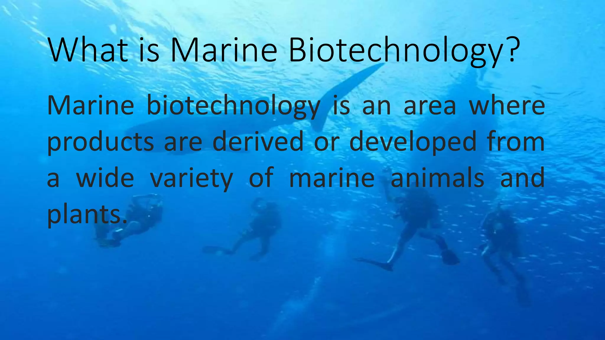 marine biotechnology.pptx