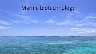 marine biotechnology.pptx