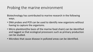 marine biotechnology.pptx