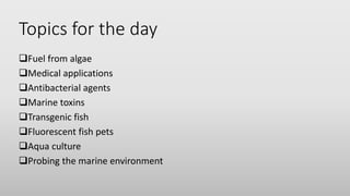 marine biotechnology.pptx