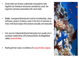 Marine biotechnology - coral reefs | PPT