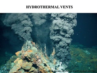 Marine biotechnology - coral reefs | PPT