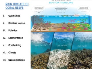 Marine biotechnology - coral reefs | PPT