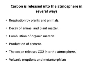 Marine carbon cycle.by masroor | PPT