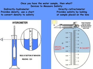 Marine chemistrynotes1011 | PPT | Chemistry | Science