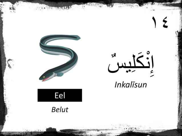 BAHASA ARAB - Hidupan Laut (Marine Creatures) | PDF | Fish and ...