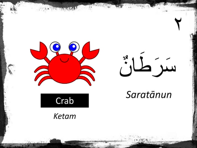 BAHASA ARAB - Hidupan Laut (Marine Creatures) | PDF | Fish and ...