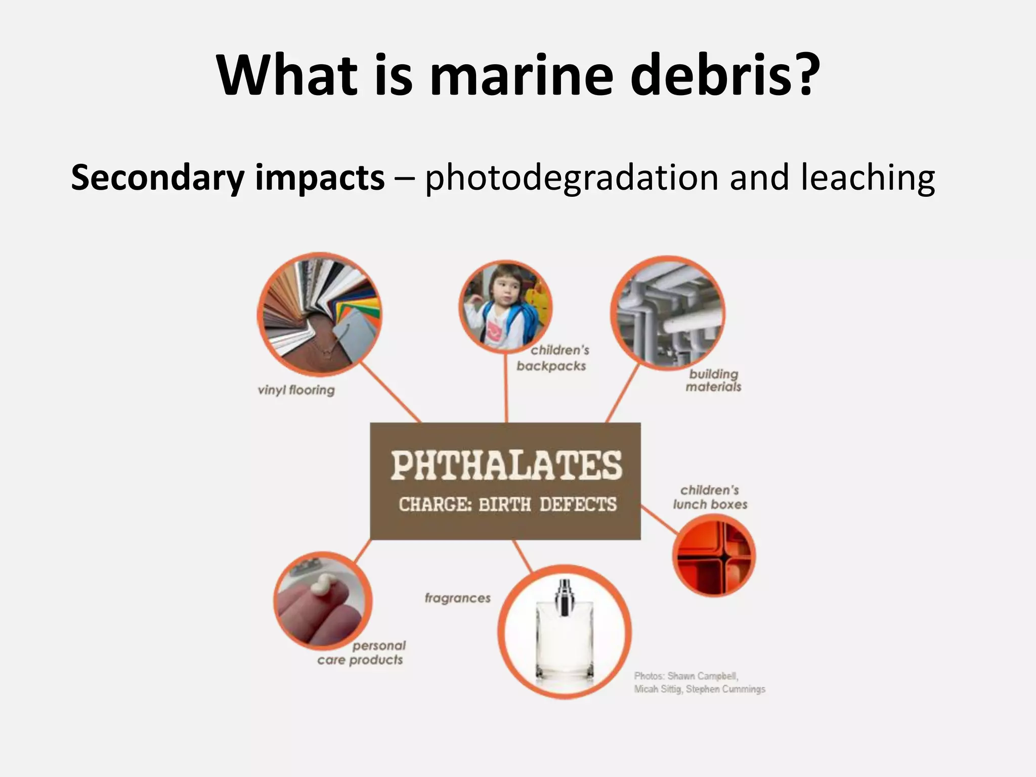 Marine debris discussion | PPT