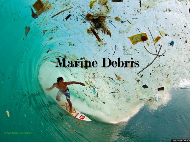 Marine debris discussion | PPT