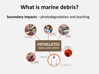 Marine debris discussion | PPT