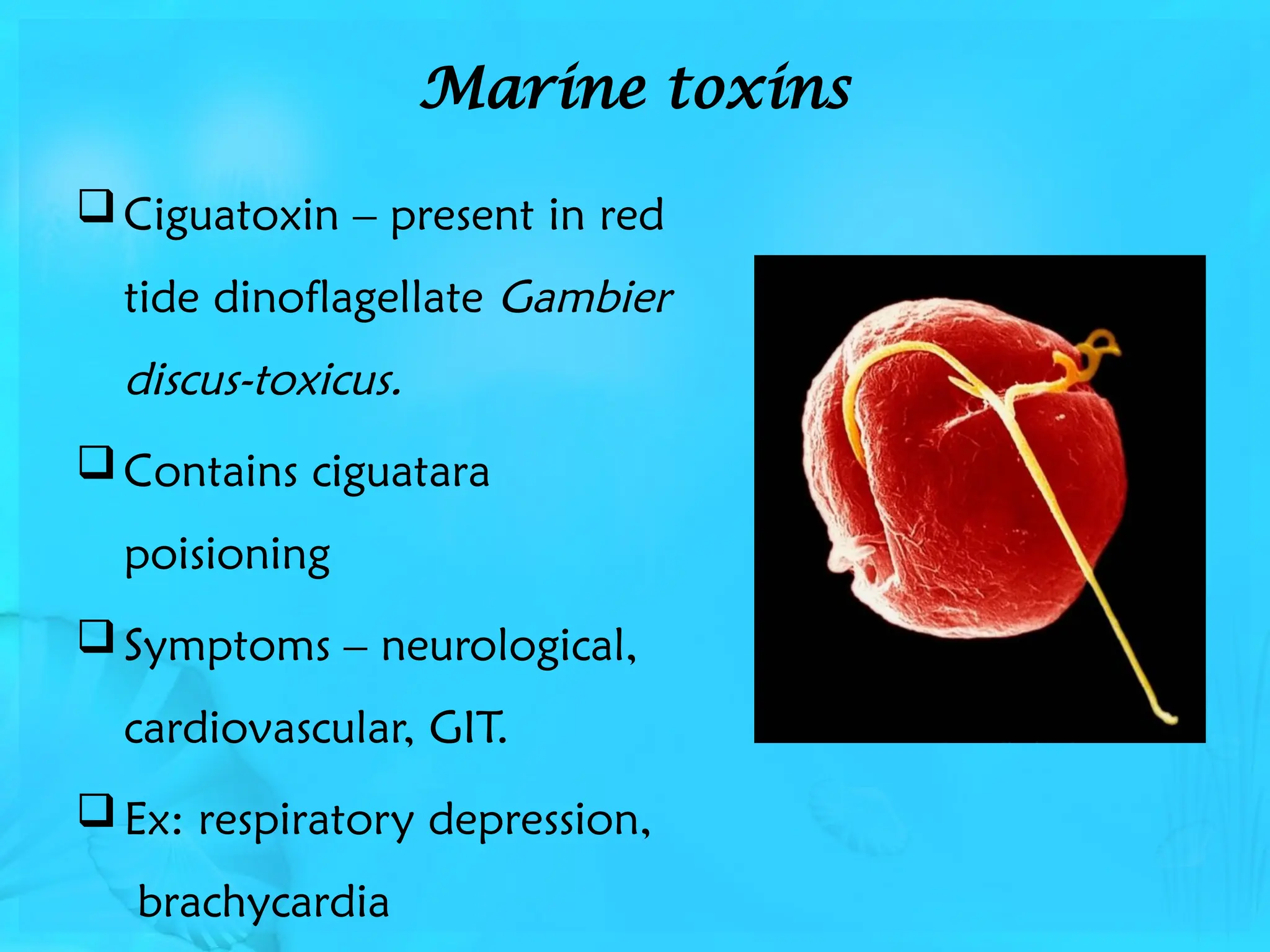 Introduction to marine drugs in pharmacognosy | PPTX