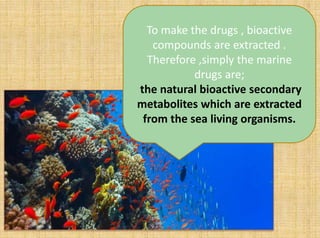 Marine drugs[1] | PPTX | Chemistry | Science