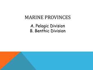 Marine ecology | PPTX