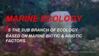Marine ecology | PPTX