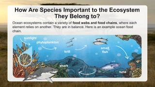 MARINE ECOLOGY.pptx TEACH KIDS OCEANS MARINE LIFE CLIMATE CHANGE | PPTX