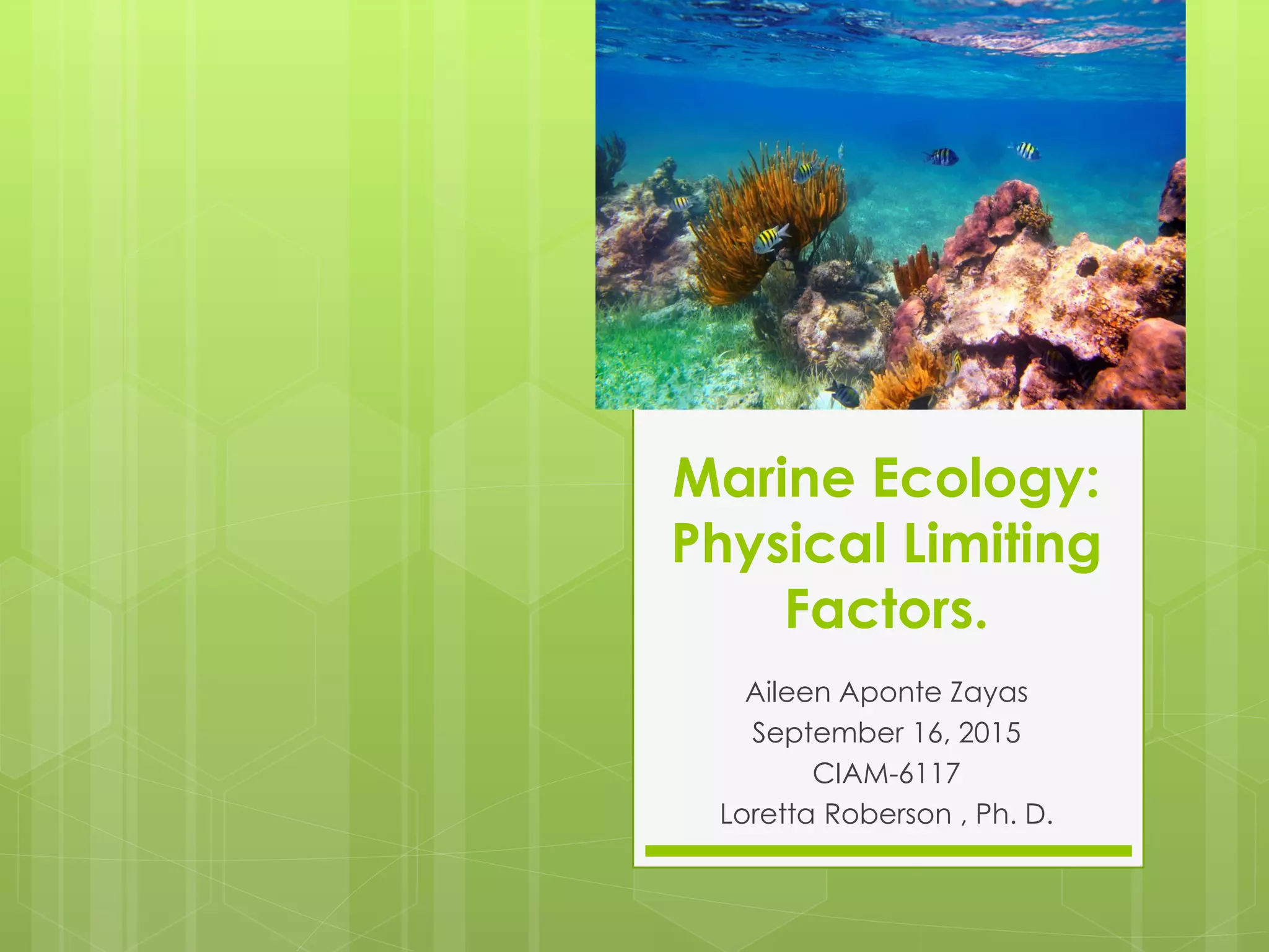 Marine Ecology: Physical Limiting Factors | PDF