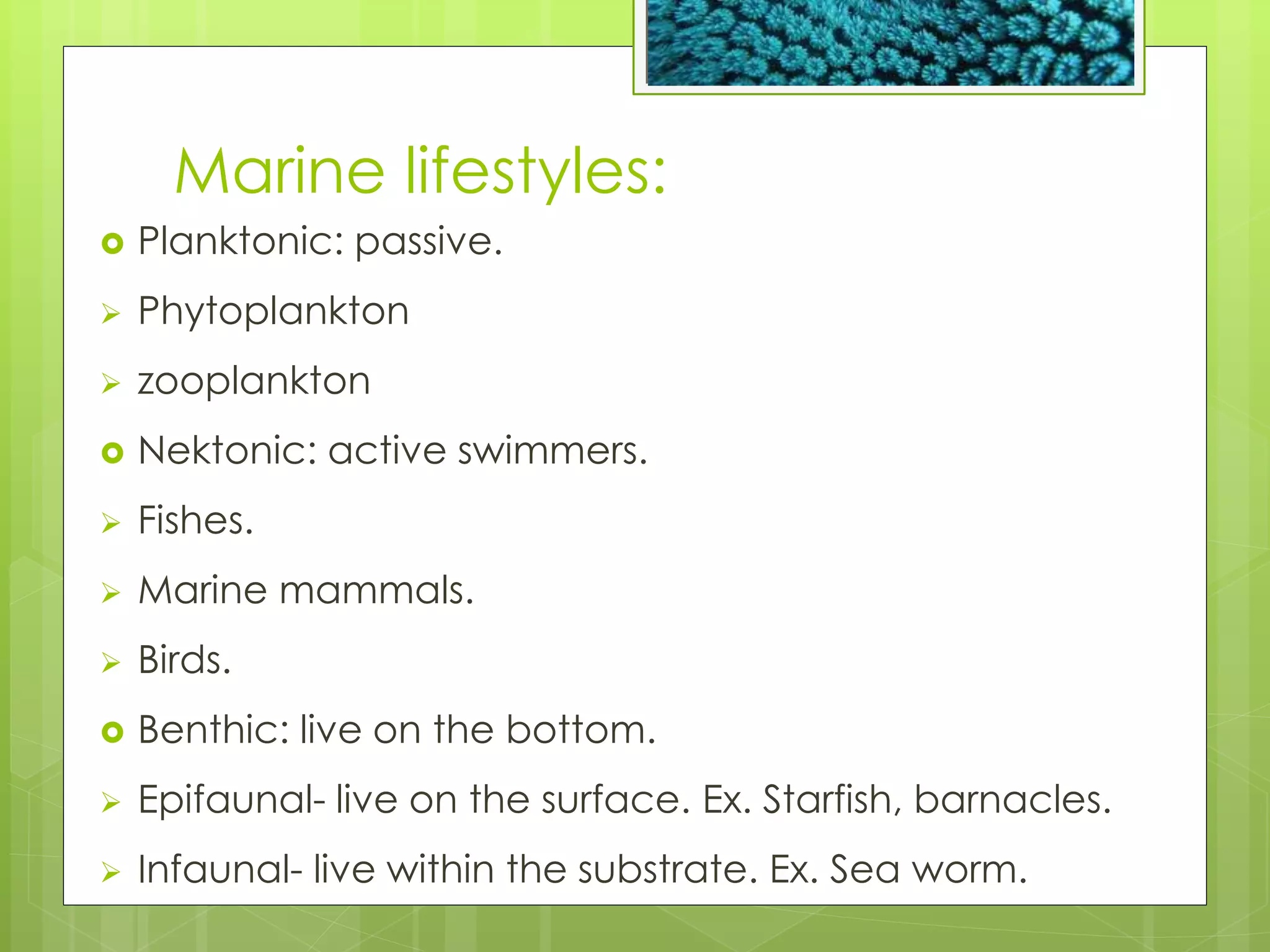 Marine Ecology: Physical Limiting Factors | PDF