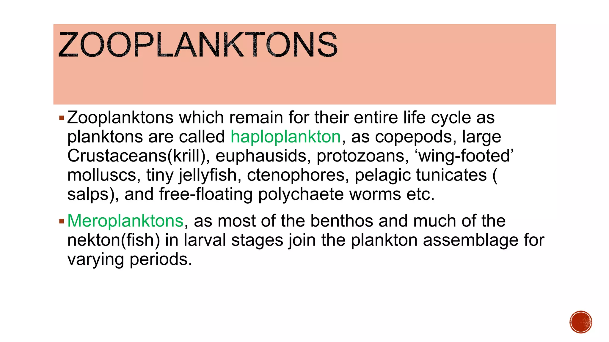 Marine ecology | PPTX