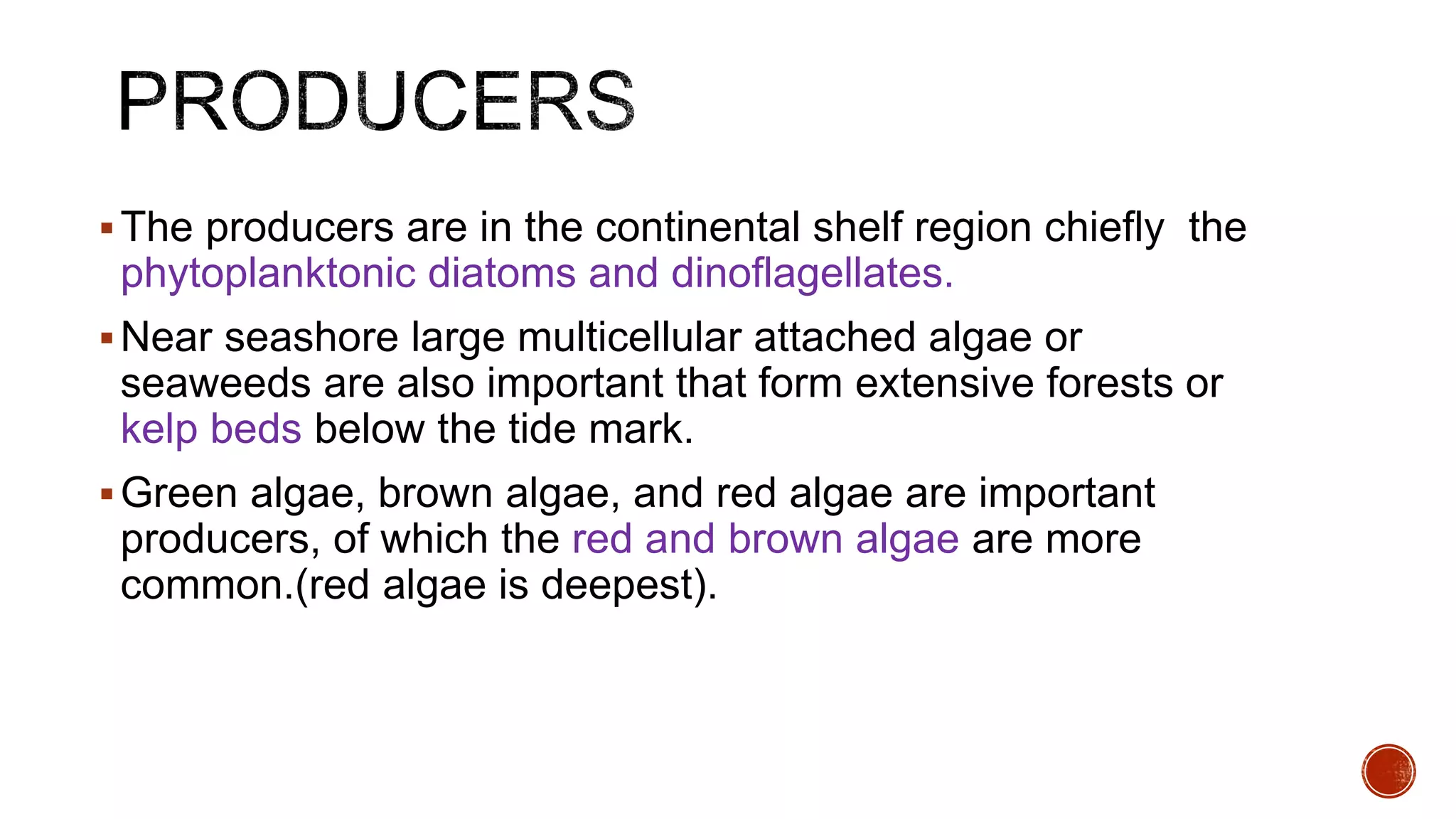 Marine ecology | PPTX