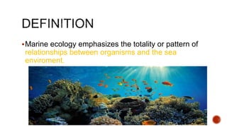 Marine ecology | PPTX