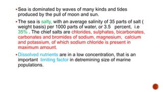Marine ecology | PPTX