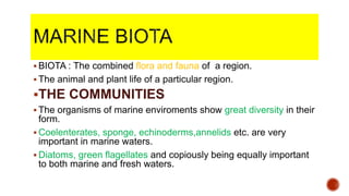 Marine ecology | PPTX