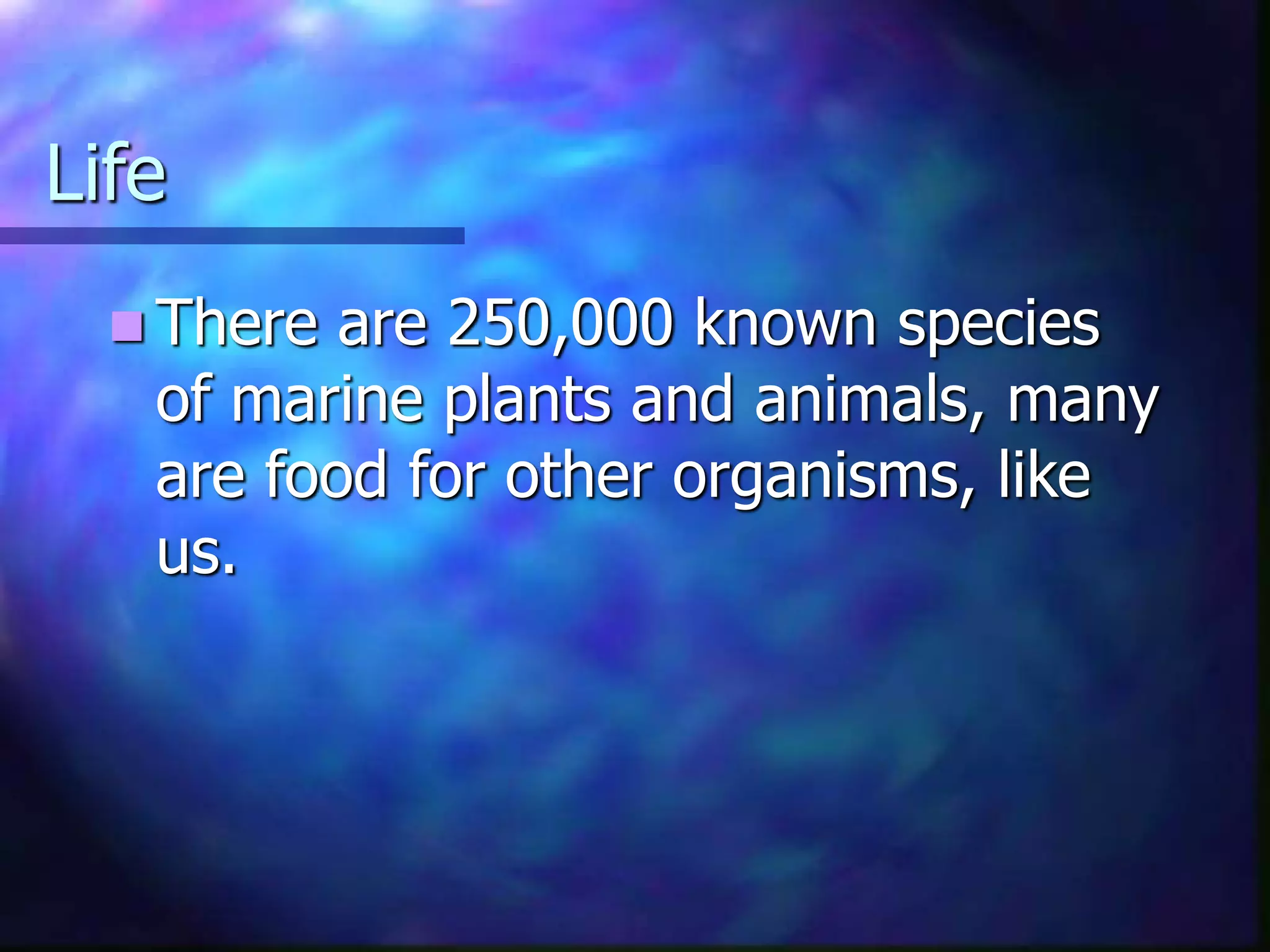 Marine Ecology Notes.ppt | Geology | Science