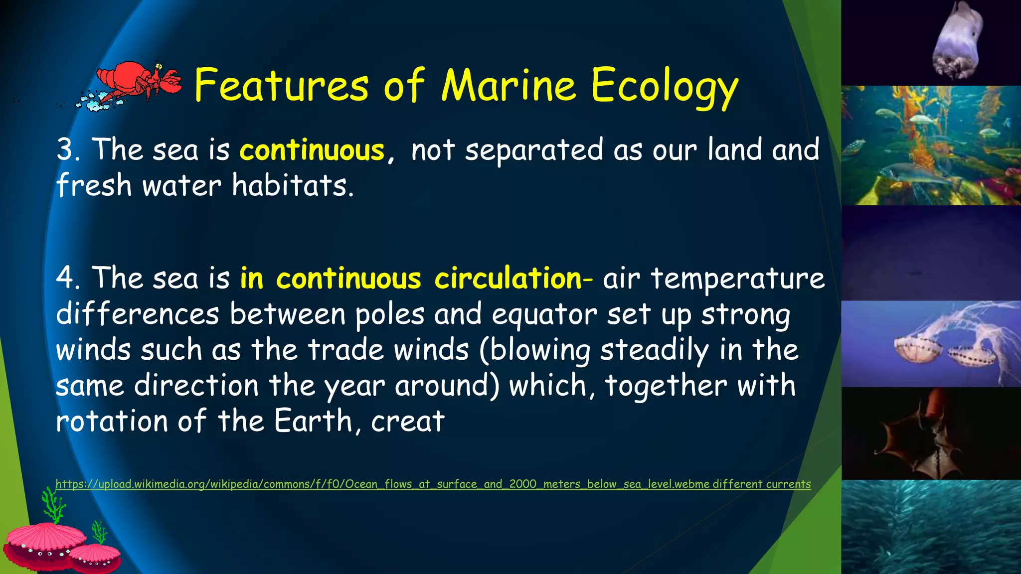 Marine ecology ppt | PPTX