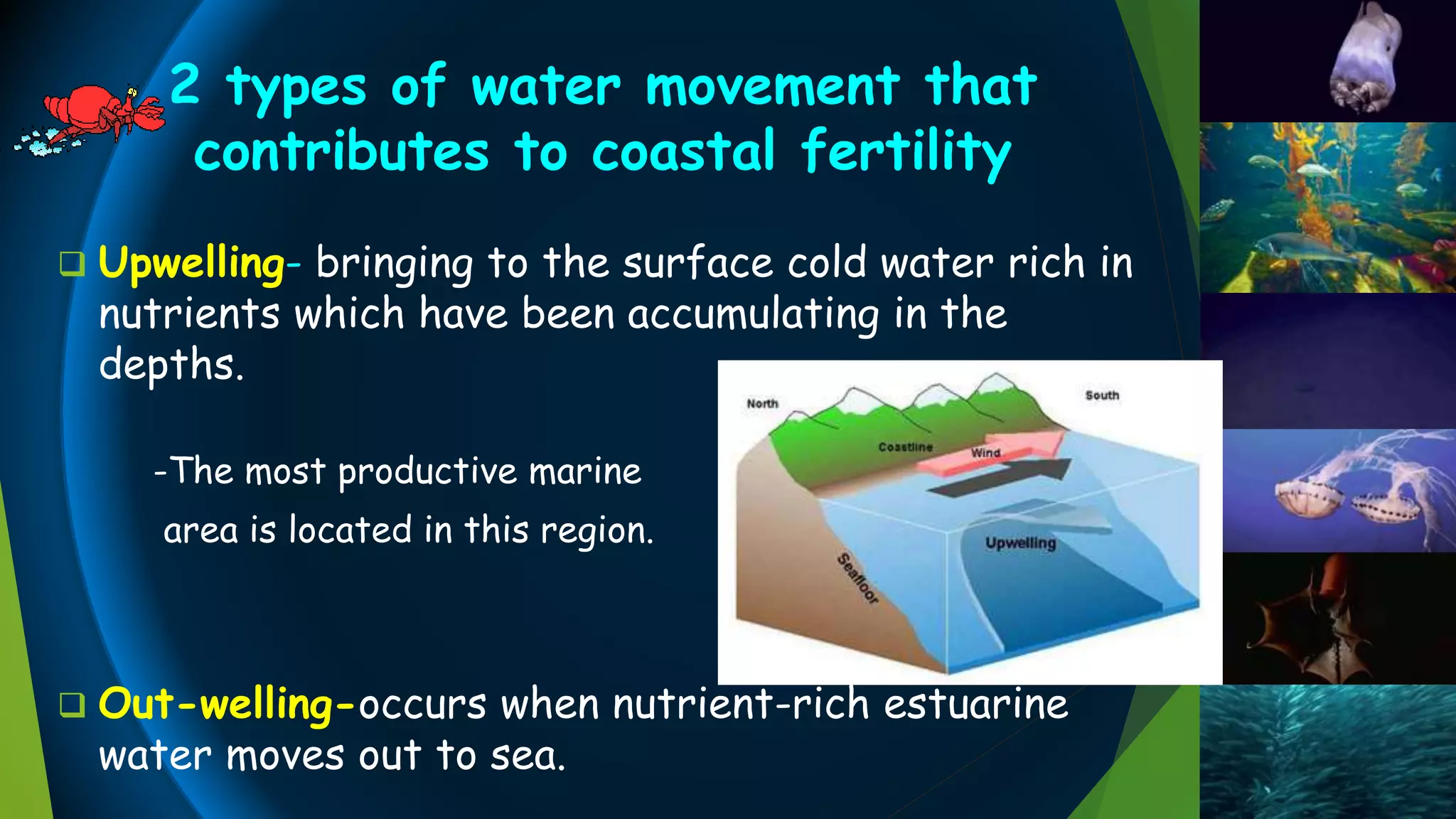 Marine ecology ppt | PPTX