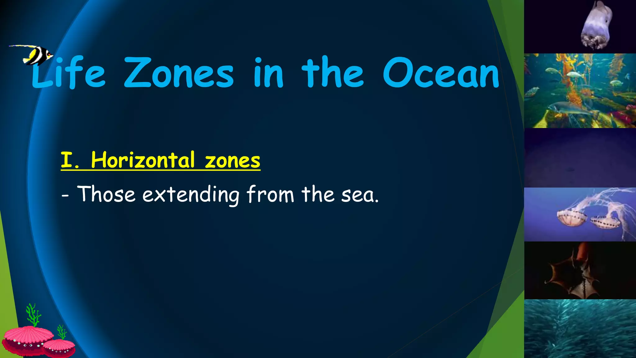 Marine ecology ppt | PPTX | Geology | Science
