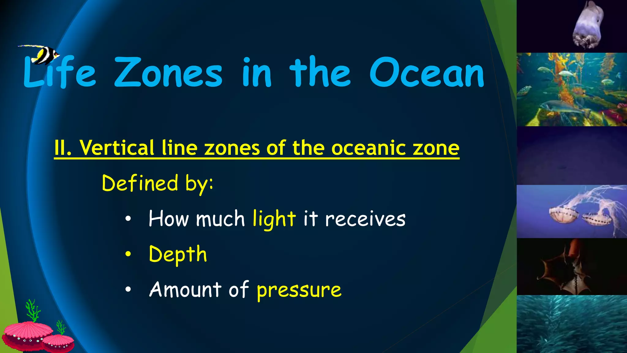Marine ecology ppt | PPTX