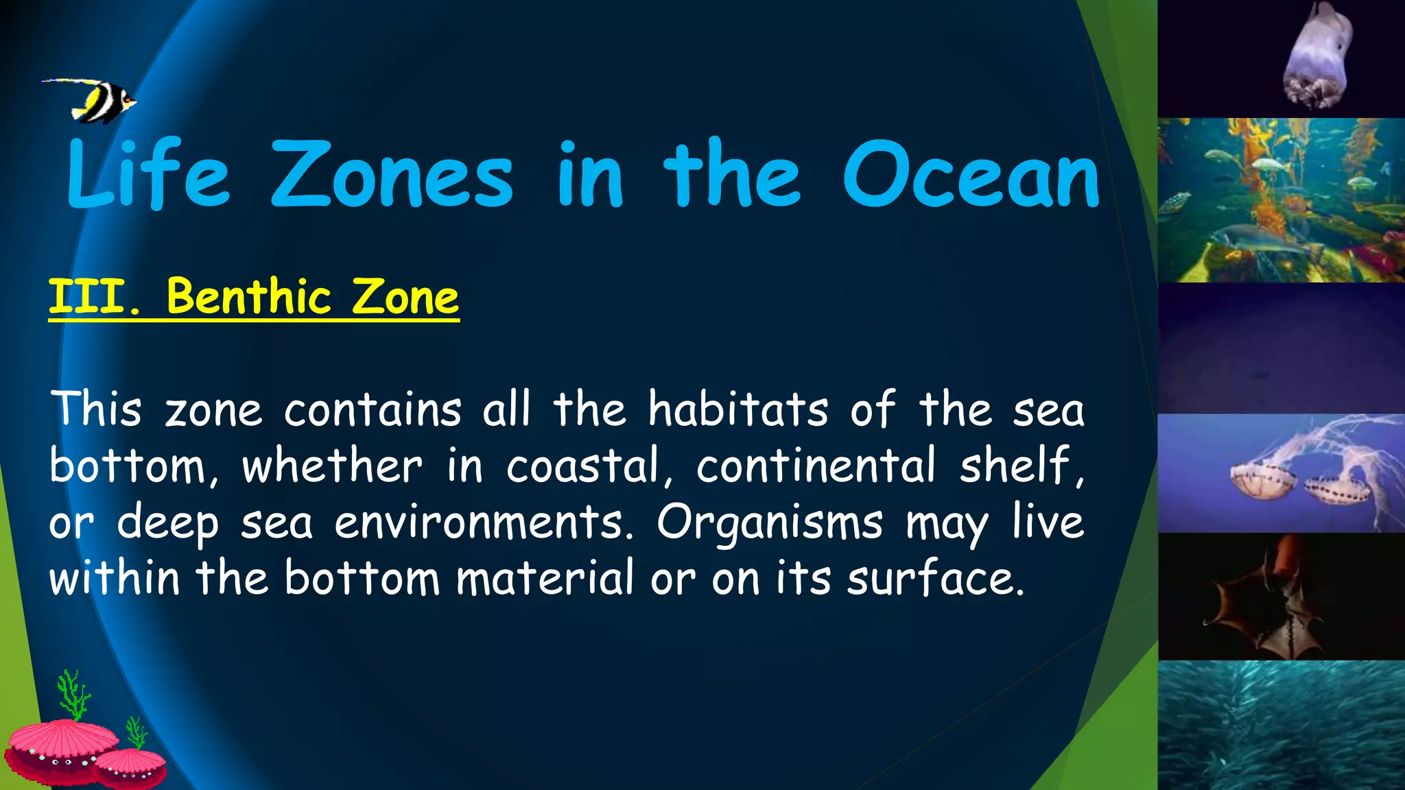 Marine ecology ppt | PPTX
