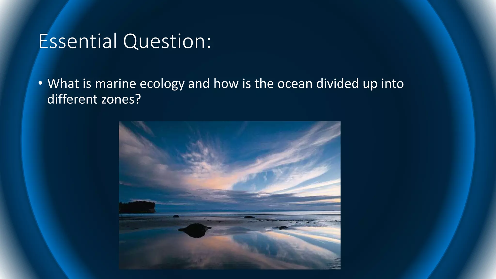 Marine ecology ppt | PPTX