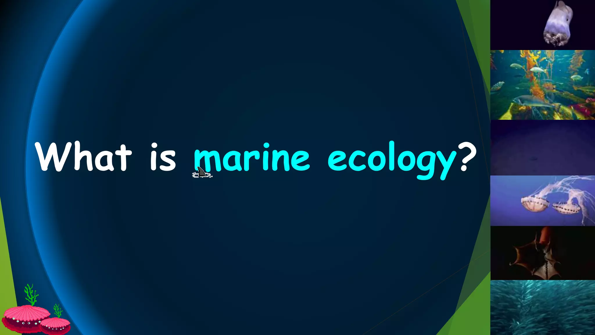 Marine ecology ppt | PPTX