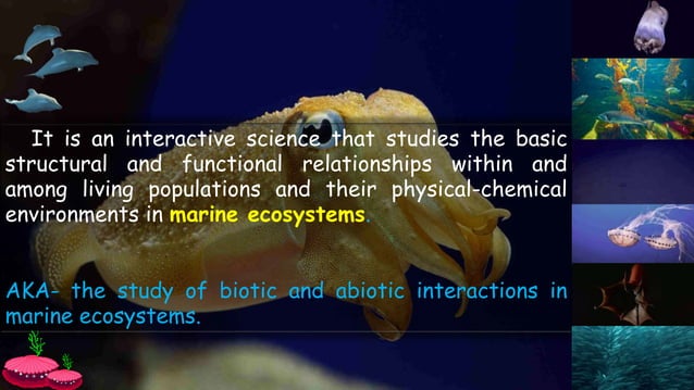 Marine ecology ppt | PPTX | Geology | Science