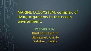 Marine ecosystem, complex of living organism in the ocean enviroment | PPT