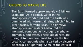 Marine ecosystem, complex of living organism in the ocean enviroment | PPT