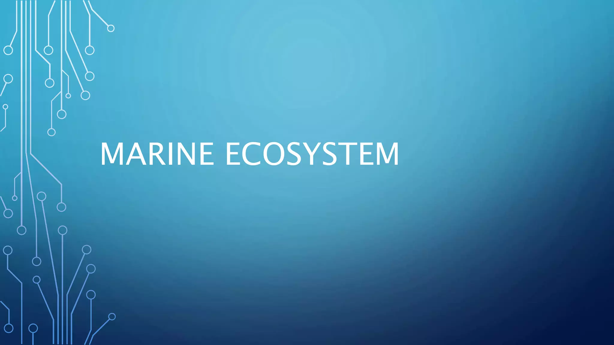 Marine ecosystem | PPTX | Geography | Science