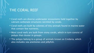Marine ecosystem | PPTX