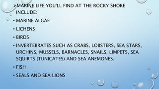 Marine ecosystem | PPTX