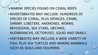 Marine ecosystem | PPTX