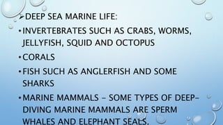 Marine ecosystem | PPTX