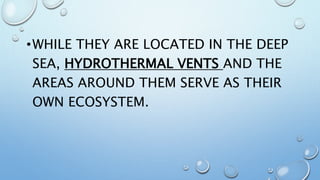 Marine ecosystem | PPTX