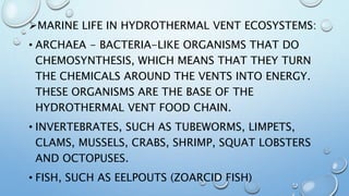 Marine ecosystem | PPTX | Zoos & Aquariums | Attractions