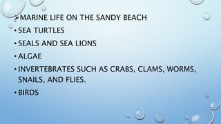 Marine ecosystem | PPTX