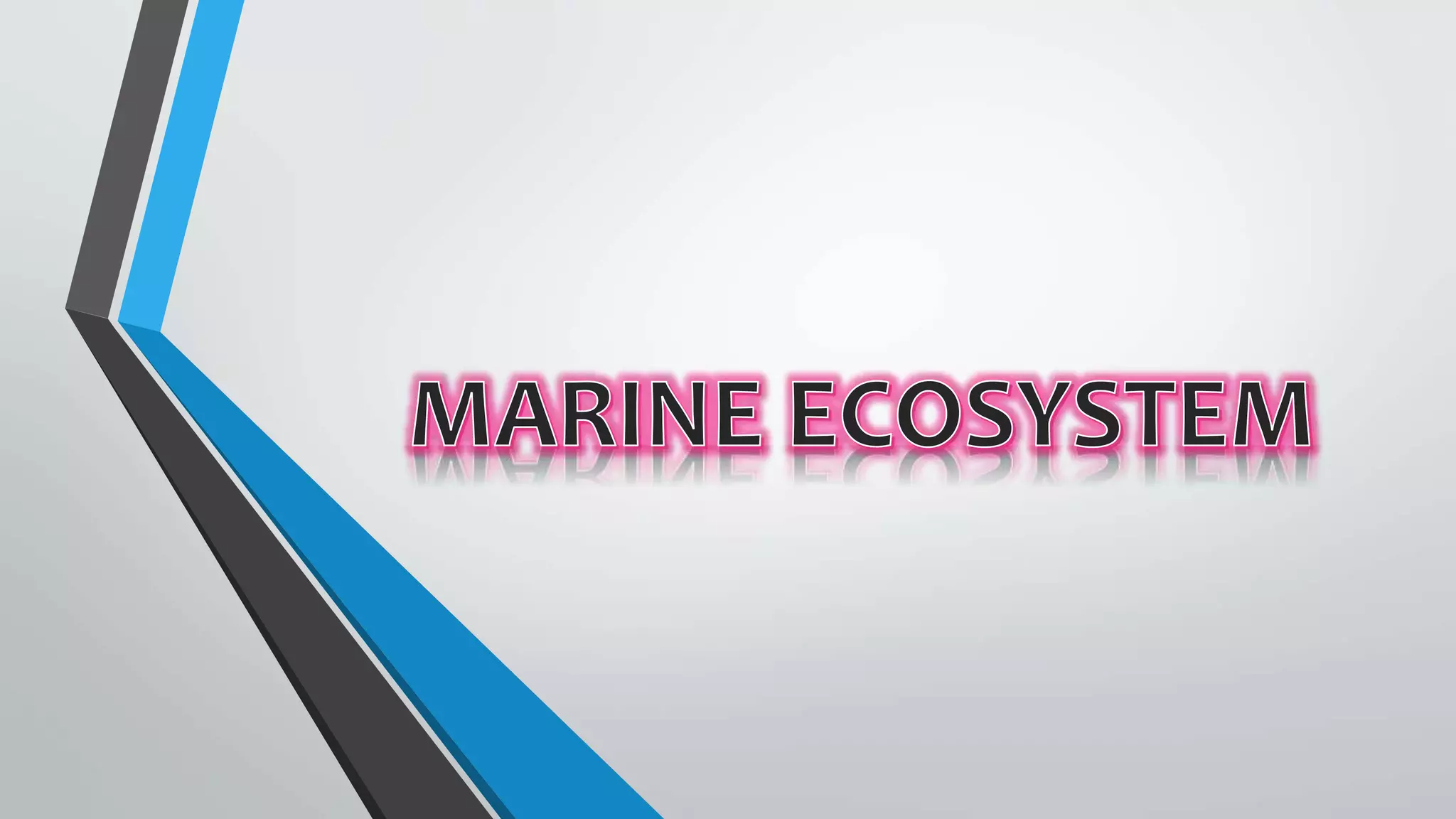 Marine ecosystem | PPTX