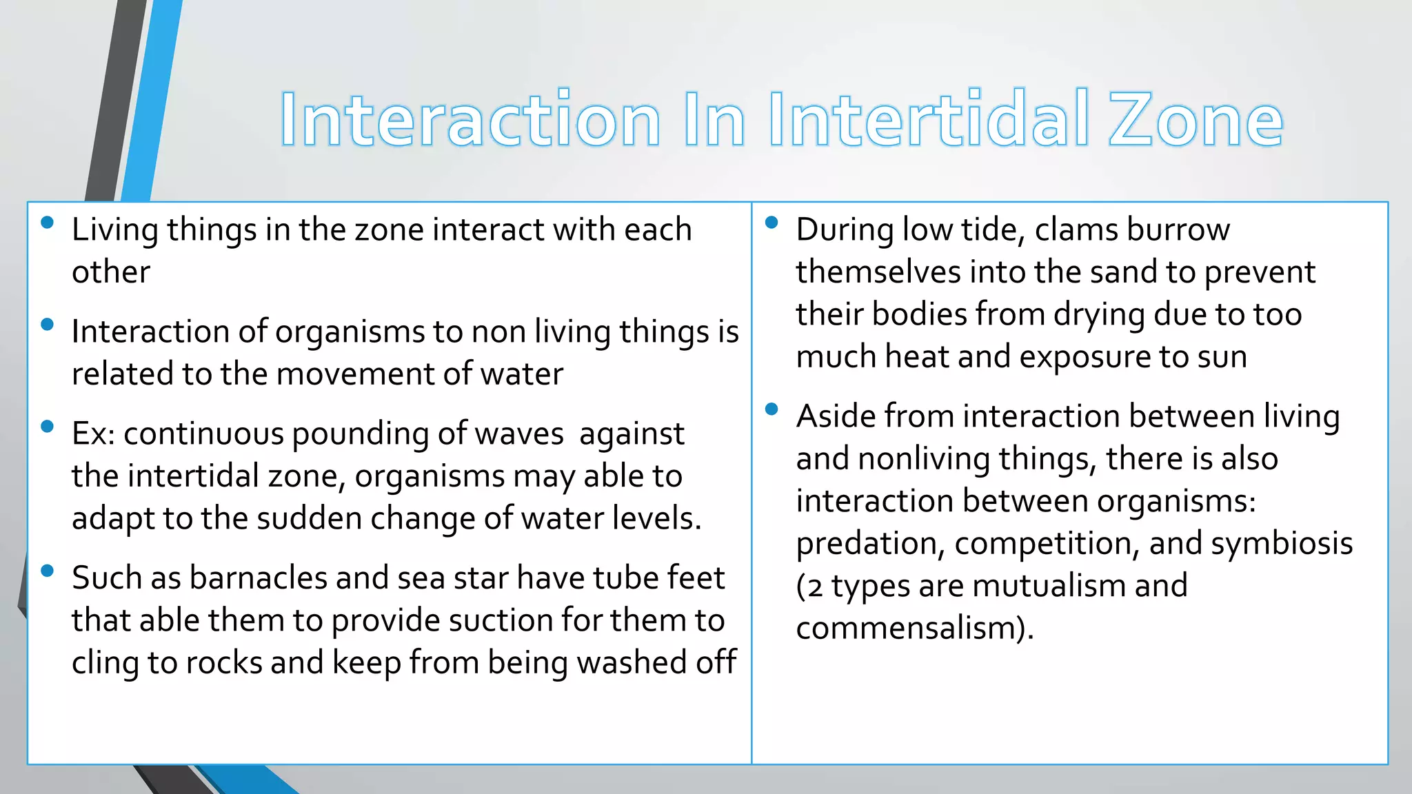 Marine ecosystem | PPTX