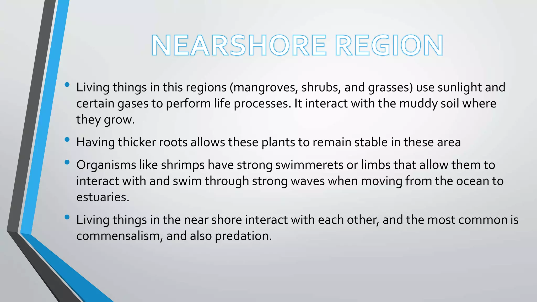 Marine ecosystem | PPTX