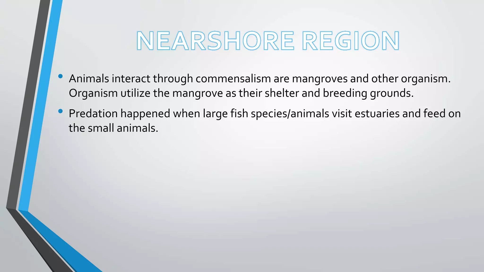 Marine ecosystem | PPTX