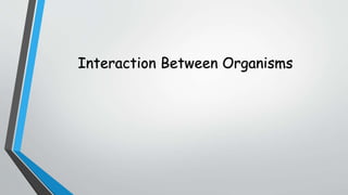 Marine ecosystem | PPT